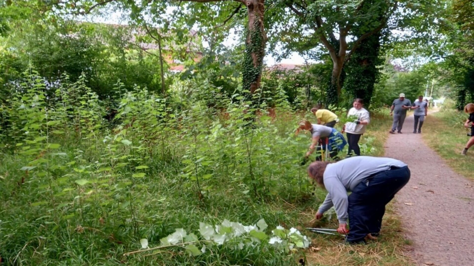 Local mental health group enhances city’s green spaces | BH Live Active